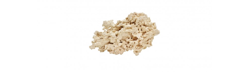 aquarium equipment supplies with Extra Care - Reef Supply